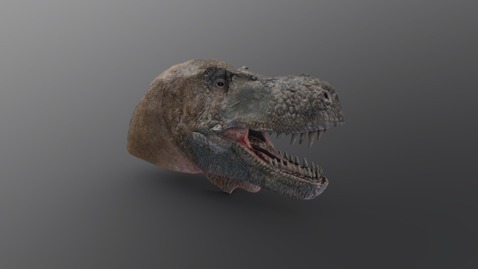 T rex - 3D model by Alfred Fernandez (@ALFERNANDEZ) [ad6e474] - Sketchfab