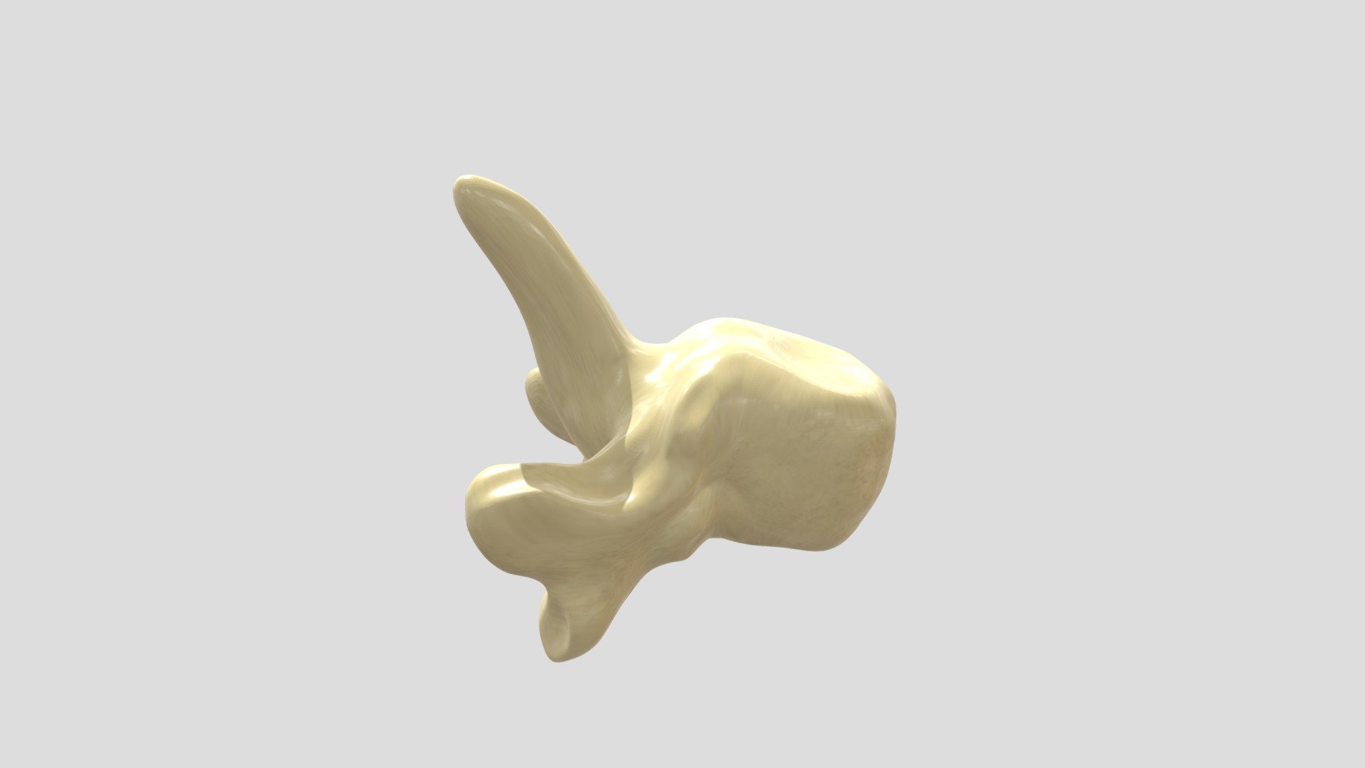 Toracic Vertebrae - Download Free 3D model by Croatoan [ad76450 ...