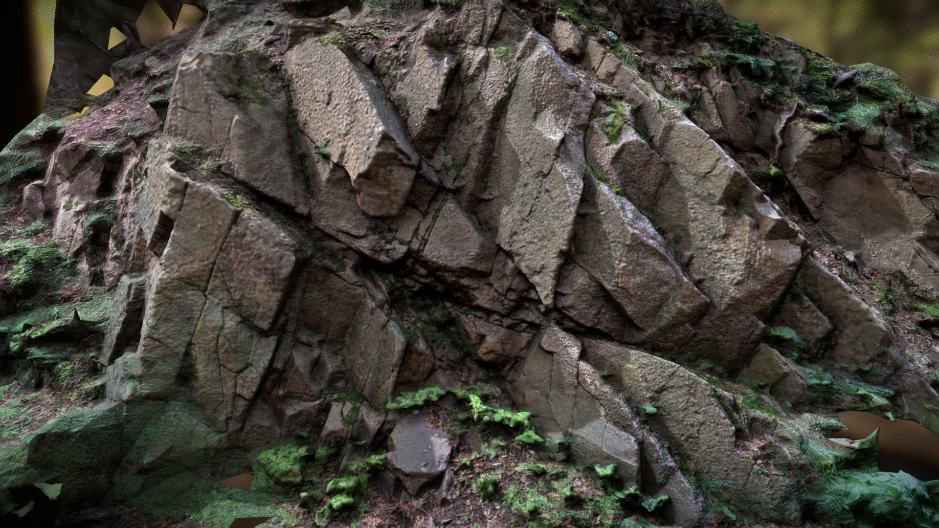 Scan The Surroundings - Rocky Cliff Scan - Download Free 3D model by ...