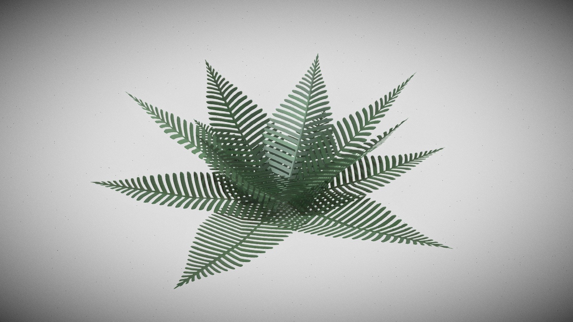 Fern - 3D model by JD Web Programmer (@jdwebprogrammer) [ad8b436 ...