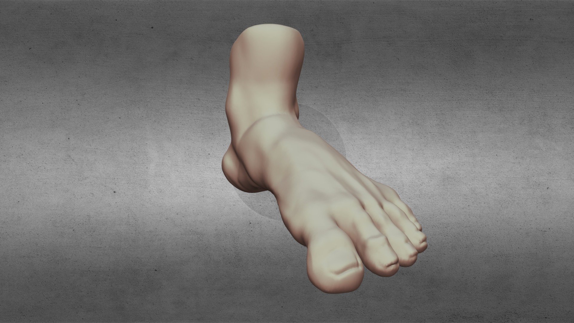 Foot Study - Download Free 3D model by Lucas Street (@FWlucasstreet ...