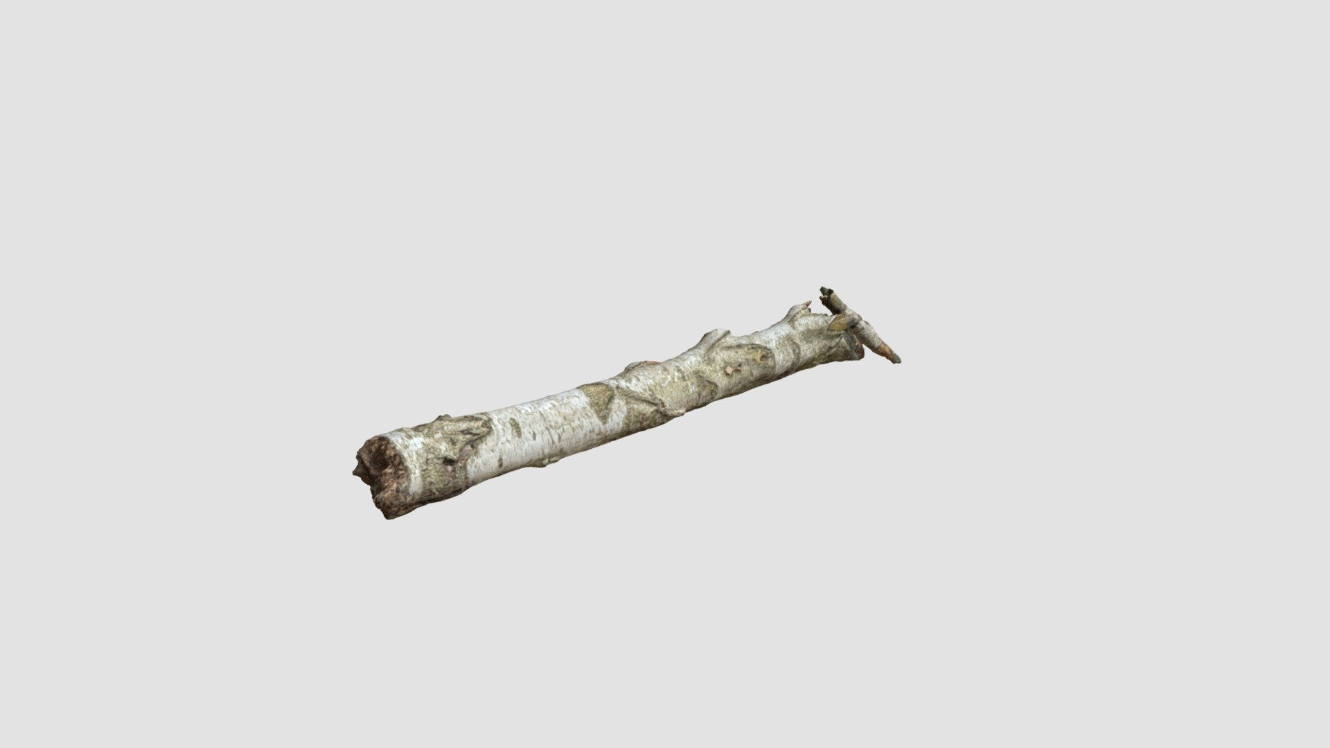 forest element - Buy Royalty Free 3D model by Evermotion [ada28d4 ...