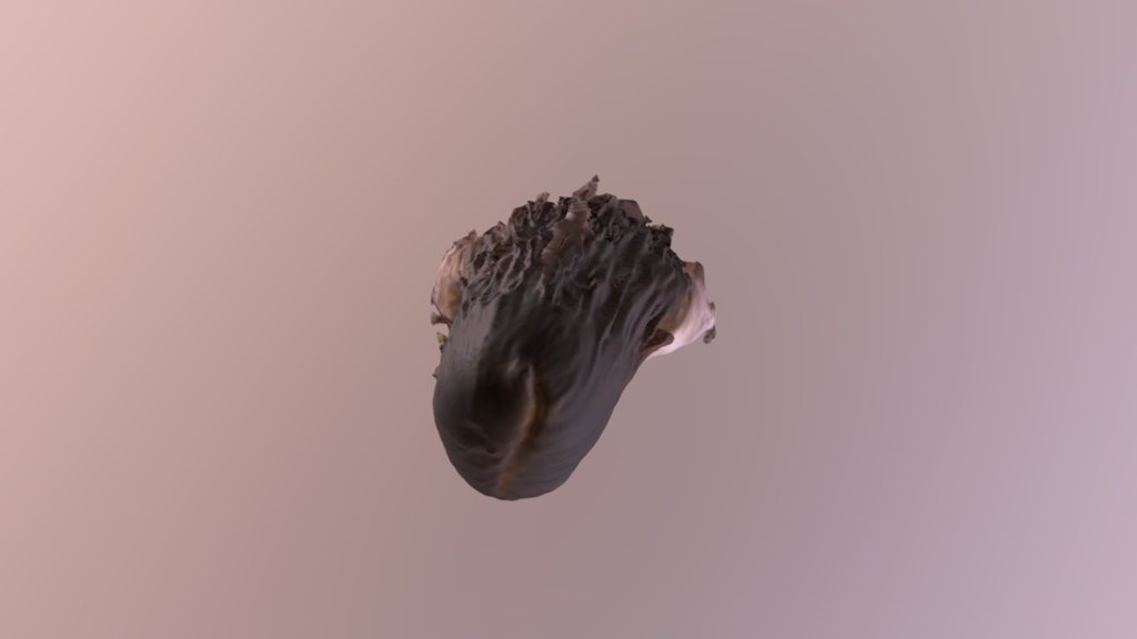 Odette - 3D model by www.atelier3d.org [ada3258] - Sketchfab