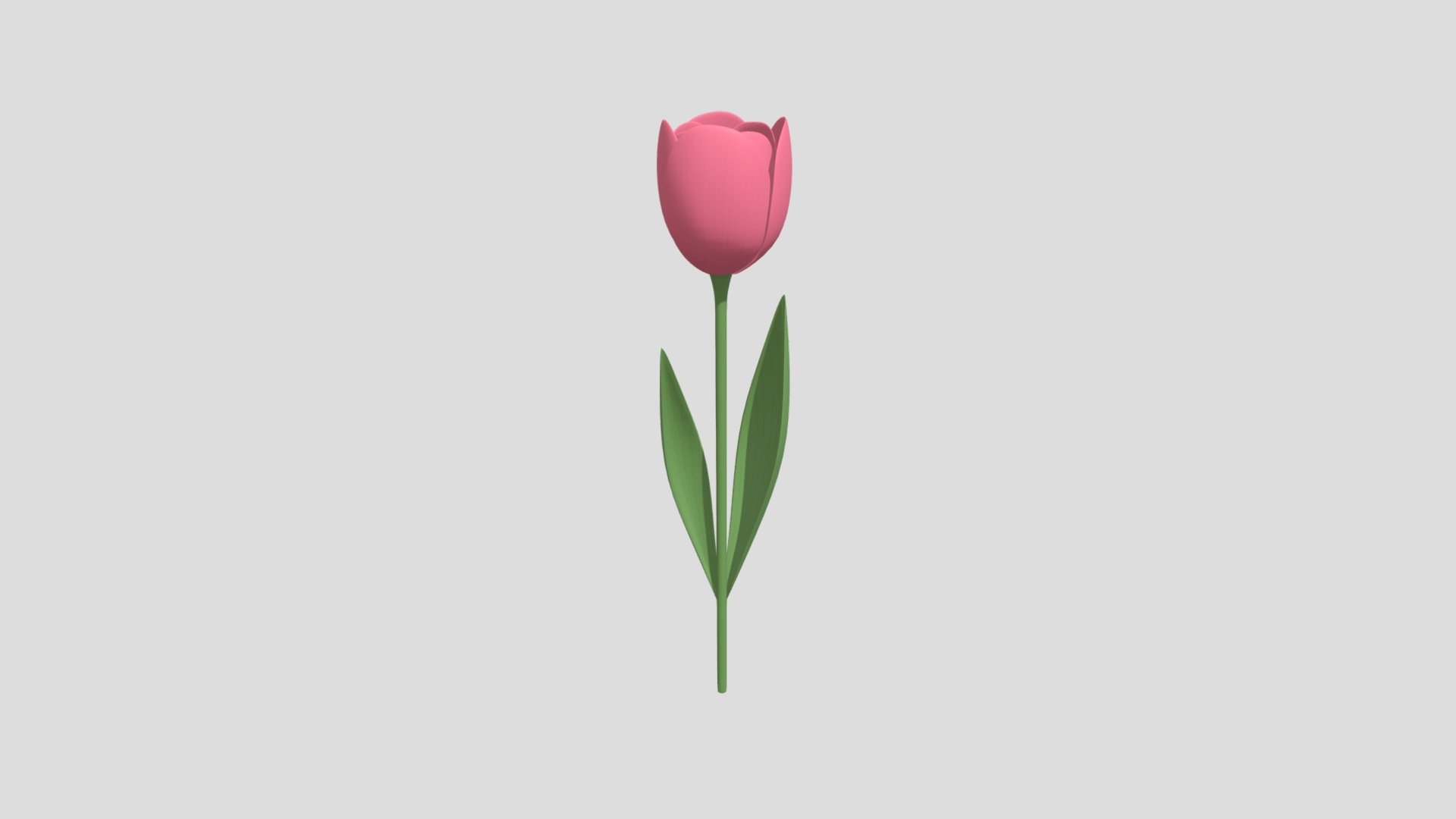 Tulip - Buy Royalty Free 3D model by Ed+ (@EDplus) [ada3454 ...