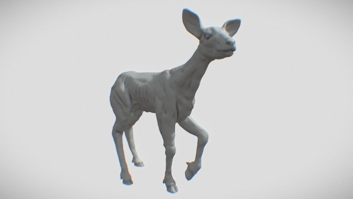 Ruminant 3D models - Sketchfab