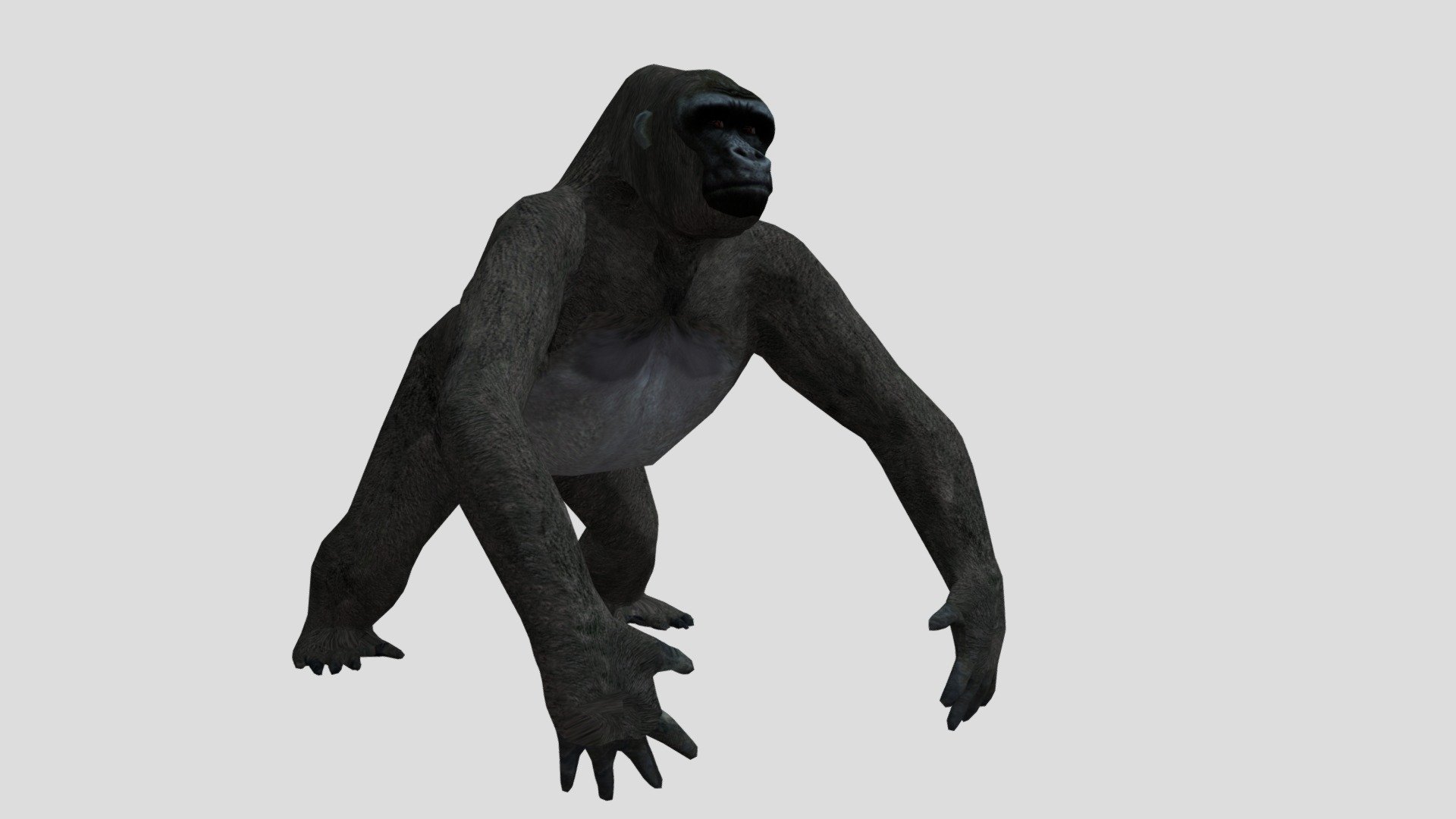Gorilla - Download Free 3D model by victorberdugo1 [adb18b8] - Sketchfab