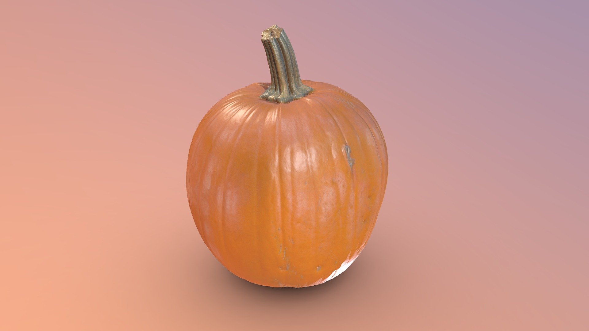 Medium Sized Pumpkin 3D Scan - Download Free 3D model by Arkify 3D ...