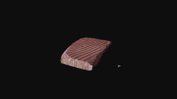 Sedimentary-structures 3D models - Sketchfab