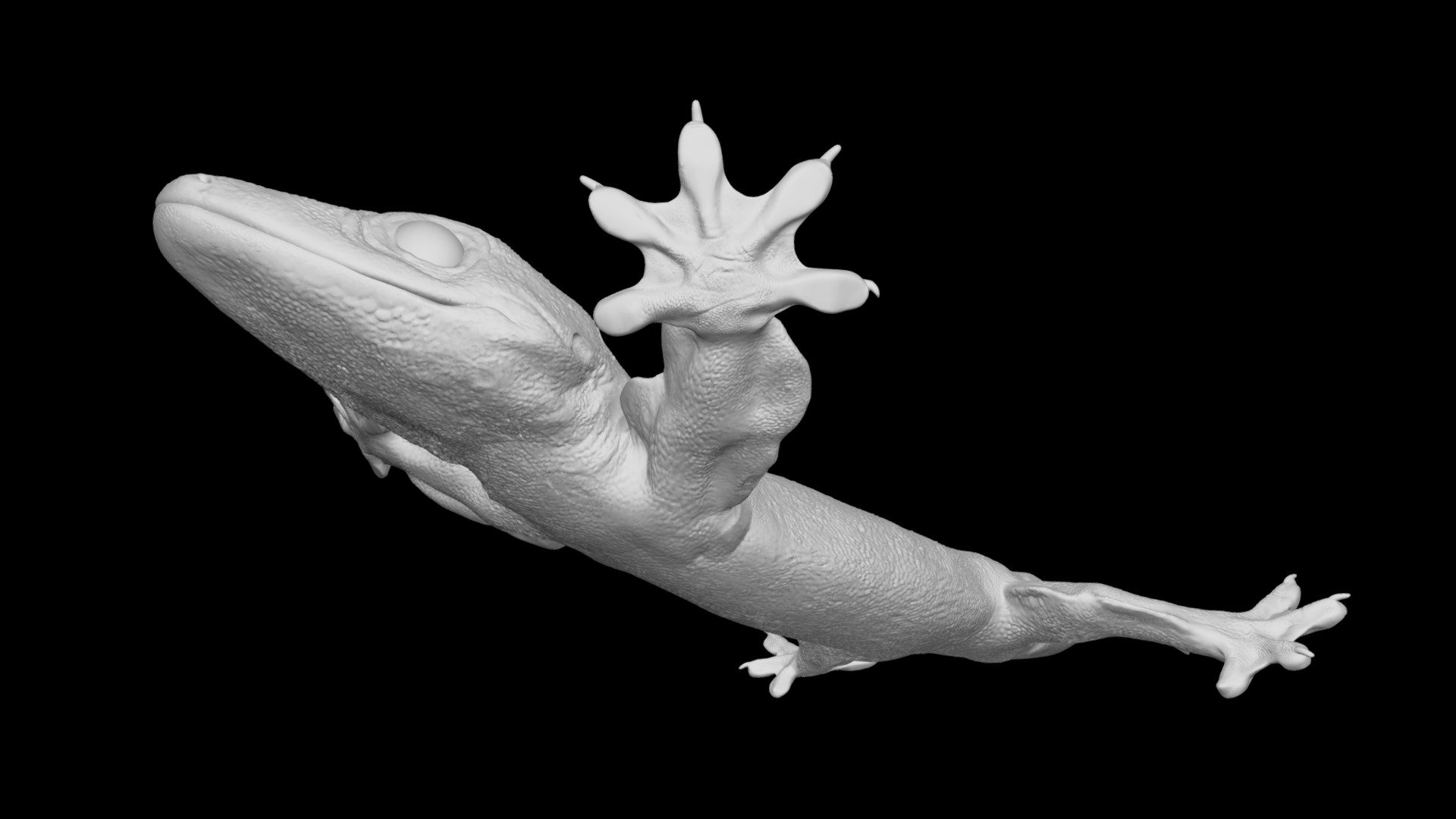 Model 81 - Lupersaurus gecko Mesh - Gliding pose - Download Free 3D ...