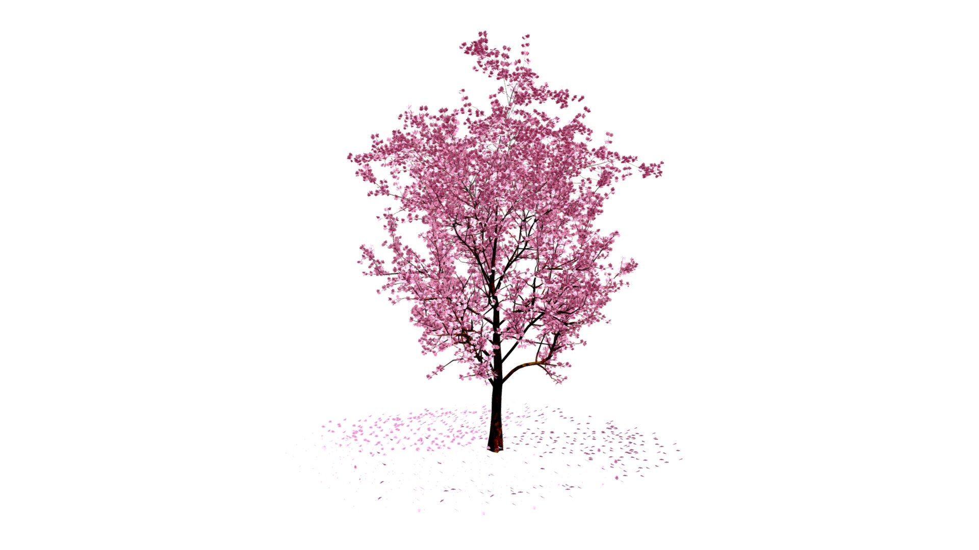 Pink Blossom Trees - Buy Royalty Free 3D model by hkhalif [adb9d90 ...