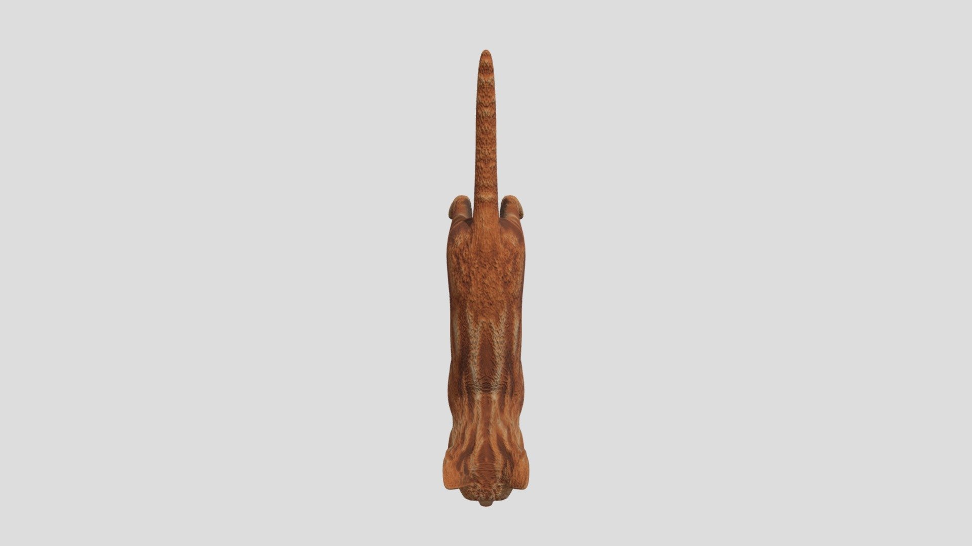 kucing - Download Free 3D model by piieppp [adbd3e4] - Sketchfab