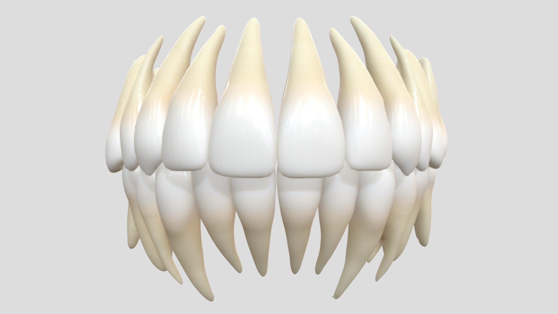 Teeth - 3D model by Milisandra [adbd8bf] - Sketchfab