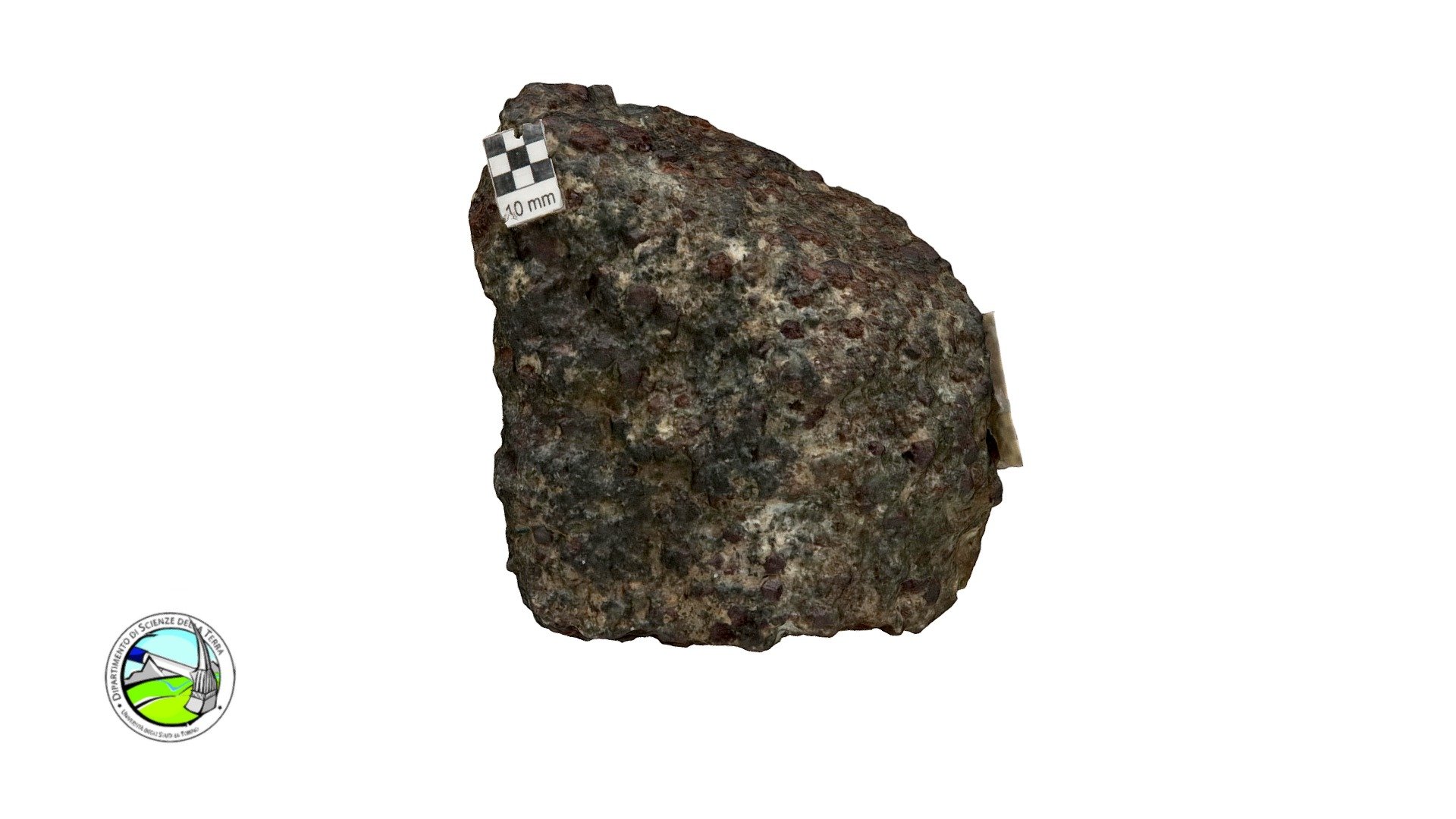 MAP52 - Scisto granatifero con Tlc e Cld - 3D model by Dipartimento di ...