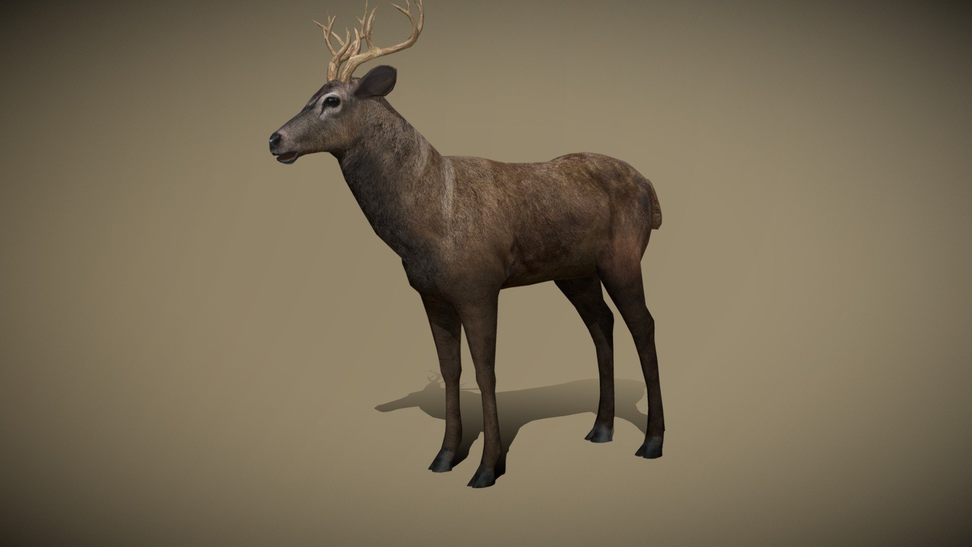 3DRT - wild animals - deer - 3D model by 3DRT.com [adc173f] - Sketchfab