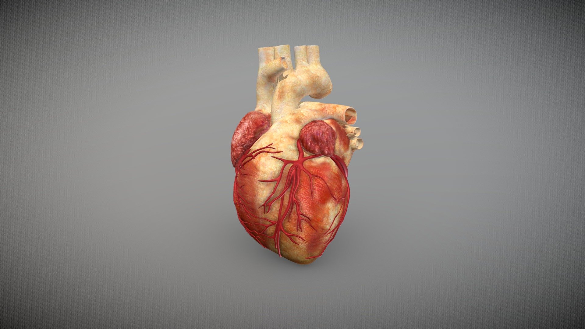 Heart Sketch Fab - 3D model by Ketan Chandorkar (@ketanchandorkar714 ...