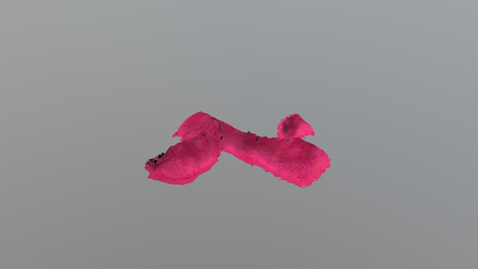 Otoe County- Diego - Download Free 3D model by KERC [ade007c] - Sketchfab