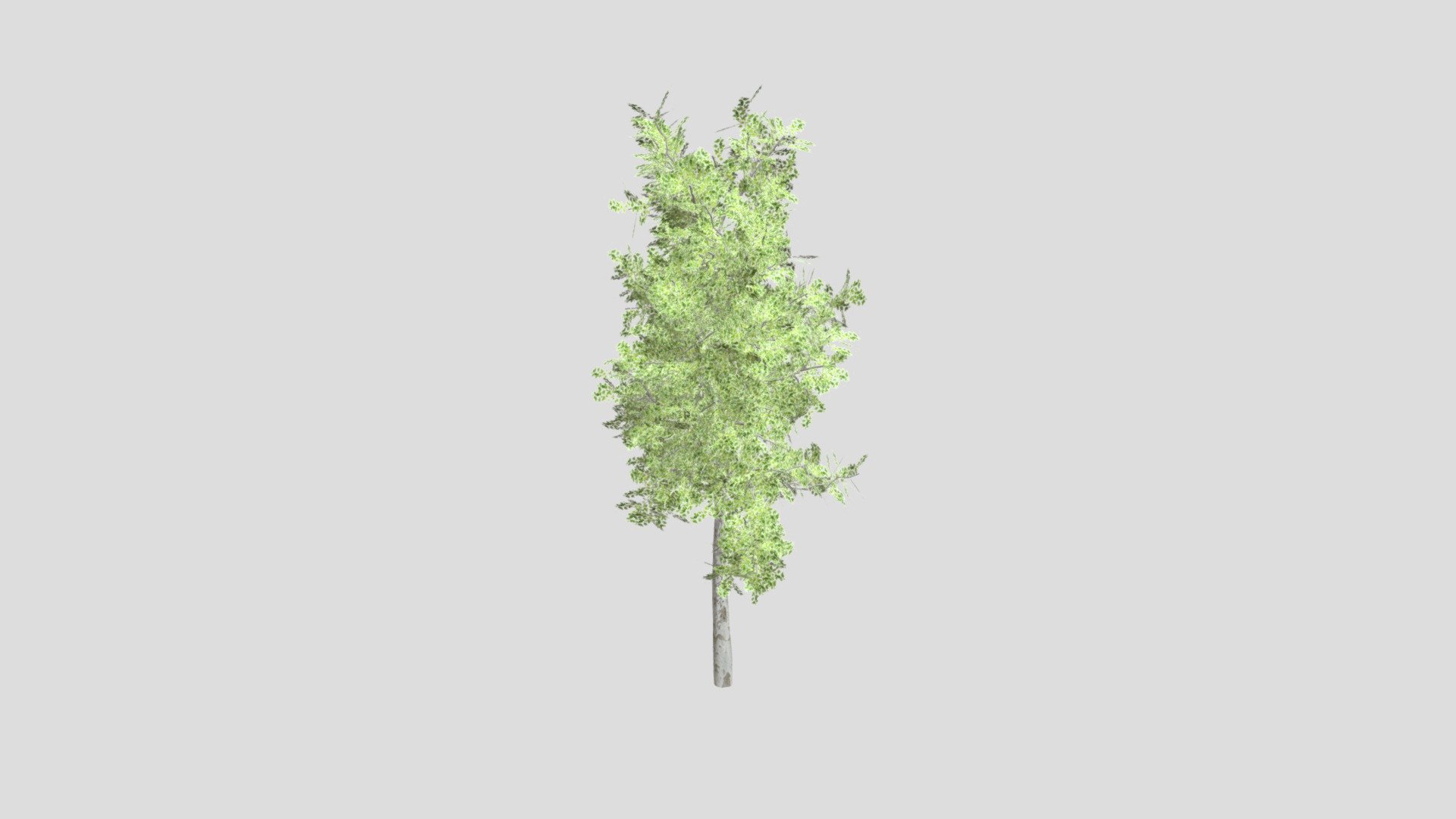 Generated Tree - 3D model by PhilipBerglund [ade06ec] - Sketchfab
