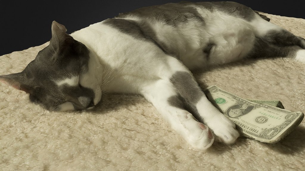 Scans of animals - A 3D model collection by scottbreton - Sketchfab