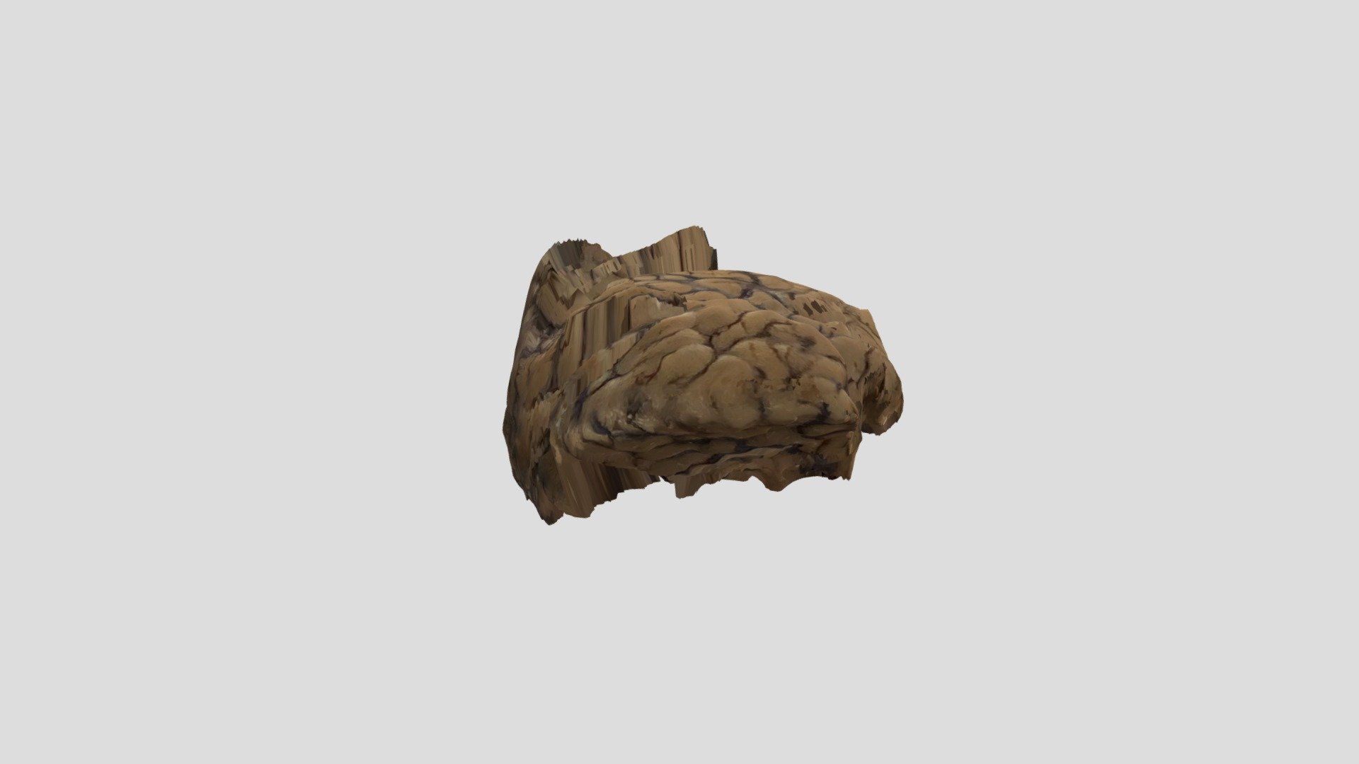 Left Hemisphere - 3D model by neurosurgerylab [adef7c6] - Sketchfab