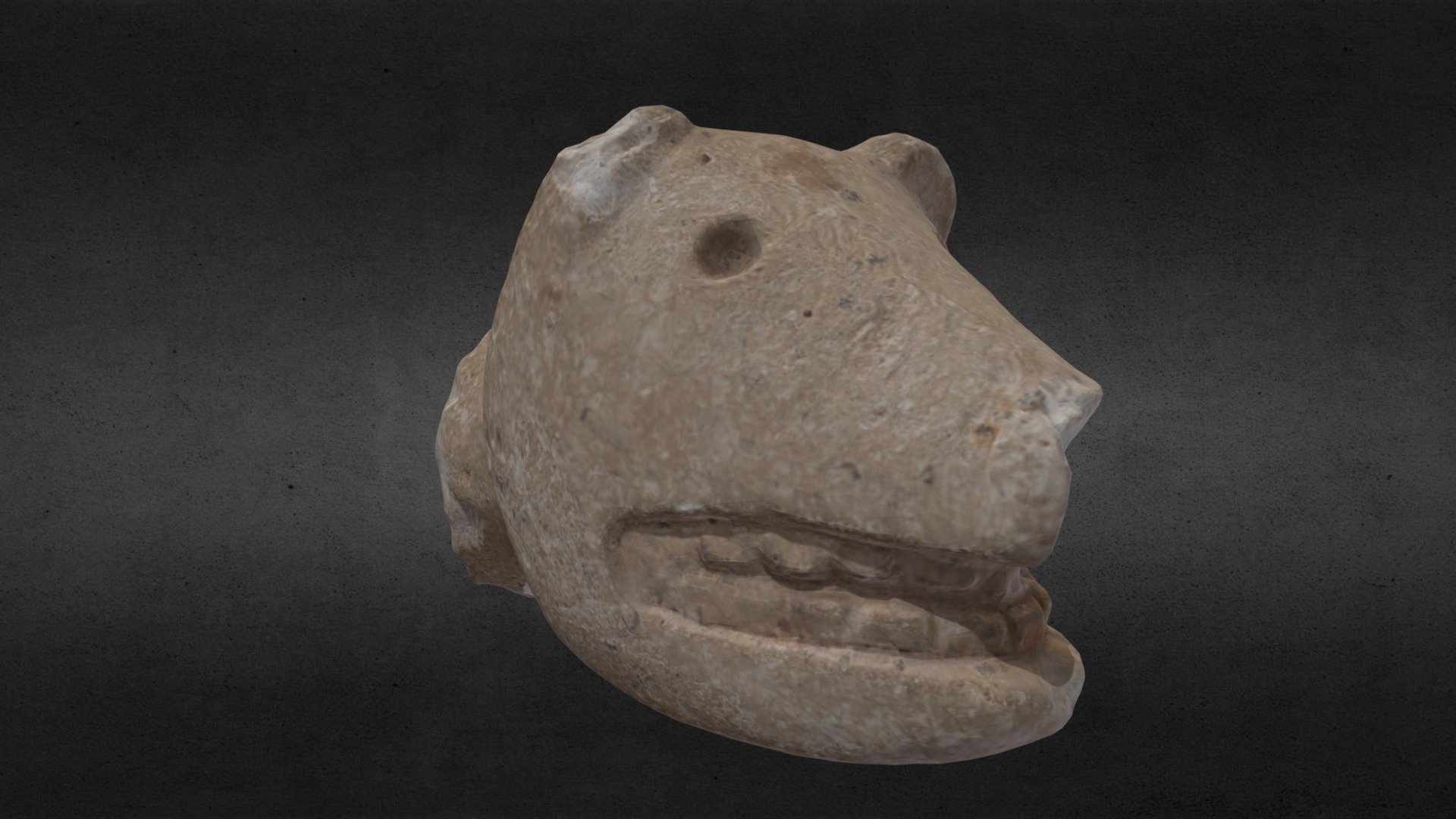 Cabeza de coyote - 3D model by MuseoComunitarioTepeyolotl [adf23a7 ...