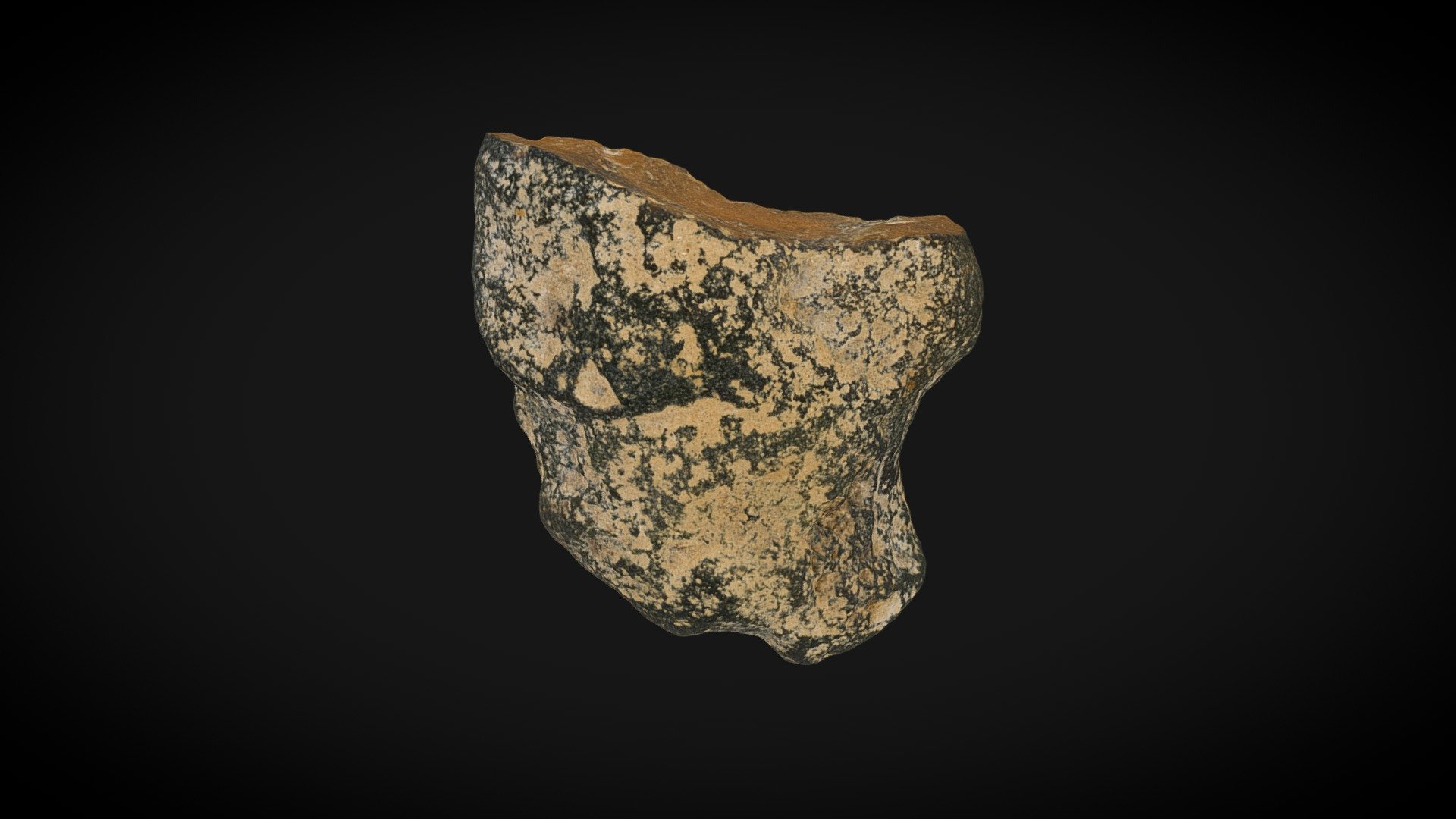Knapped pebble (chopper) (Medzhybizh 1) - 3D model by Naumenko ...