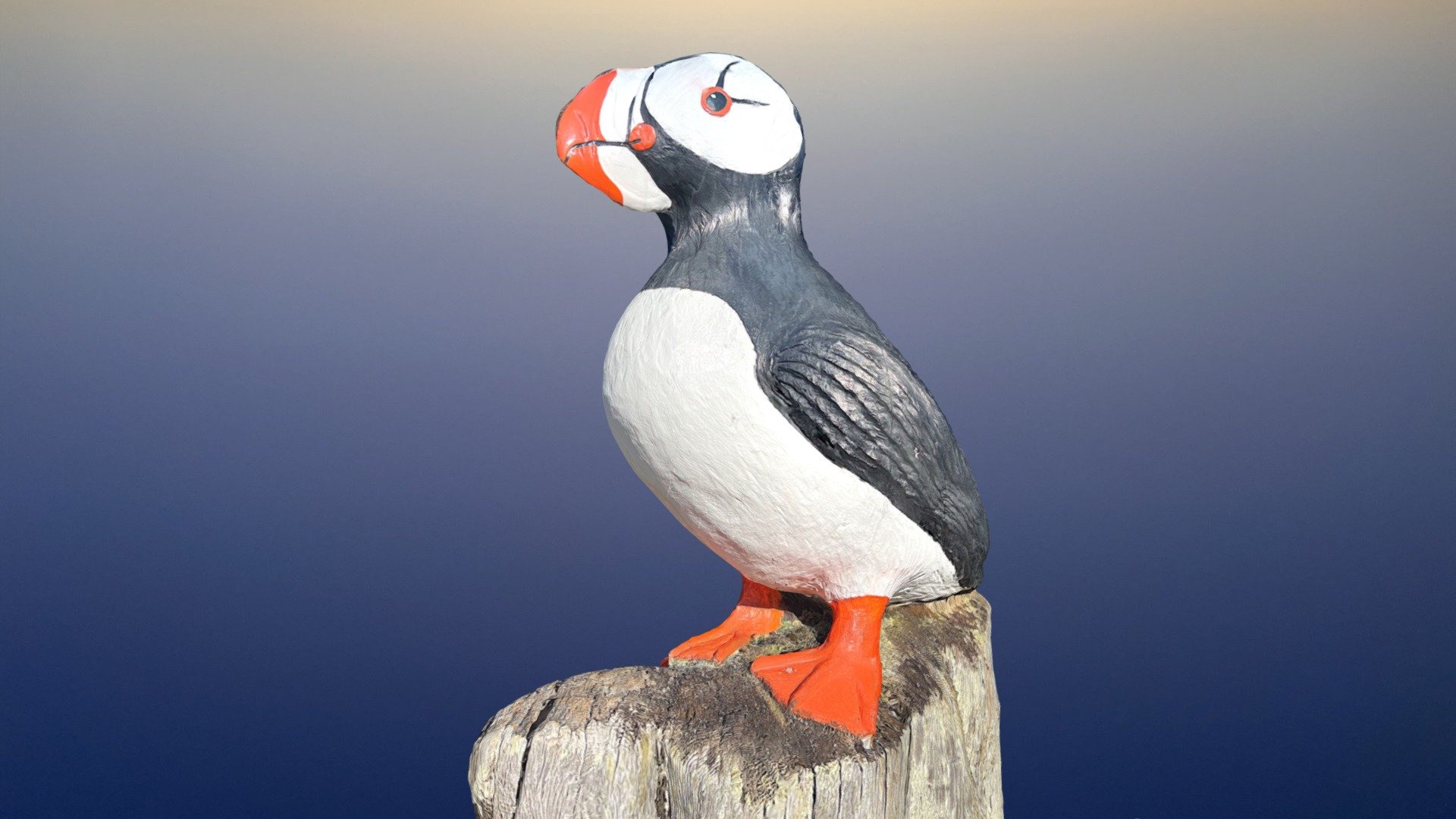 Puffin - Download Free 3D model by Phil.Devine [ae045cf] - Sketchfab