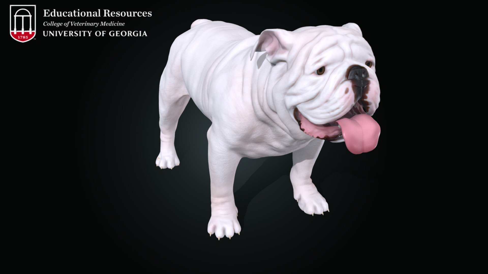 Uga X - 3D model by ERC [ae04803] - Sketchfab