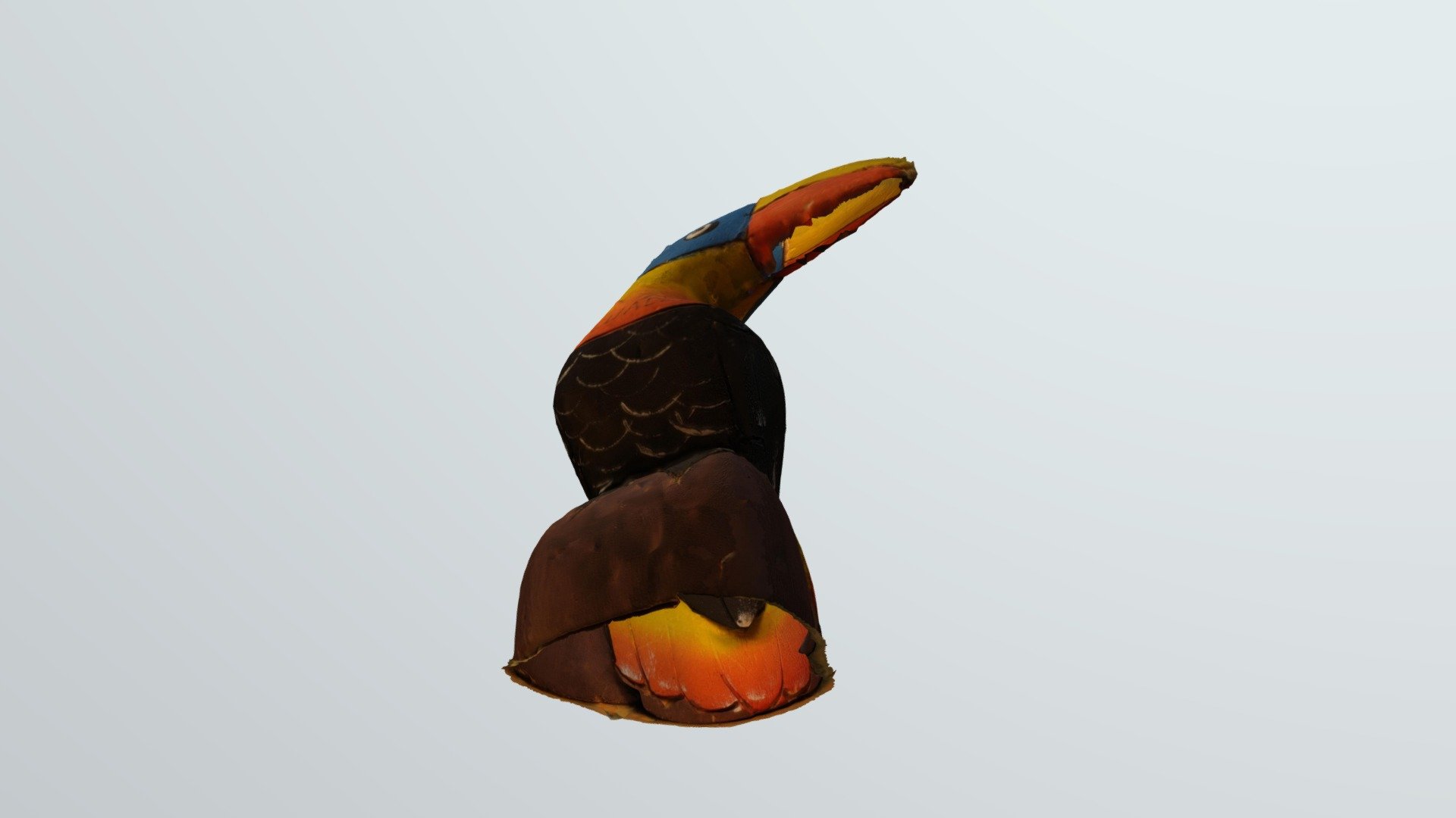 Tucán Ecuador - 3D model by Andylp [ae07316] - Sketchfab