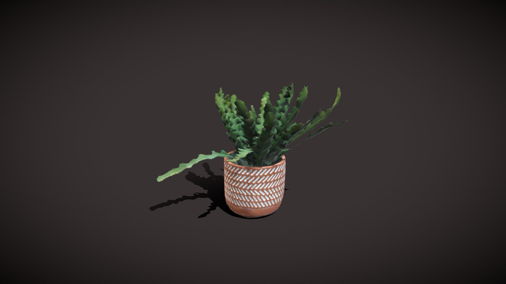 Small House Plant - Real 3D Scan - Buy Royalty Free 3D model by The ...