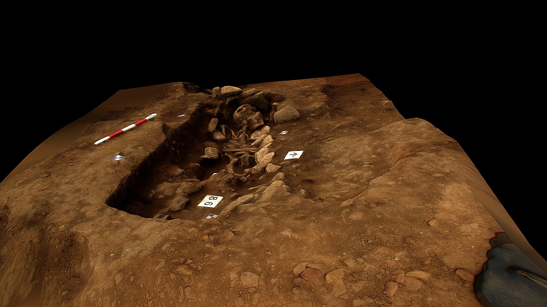 Irchester Roman Burial - 3D model by Archaeological Services (ULAS ...
