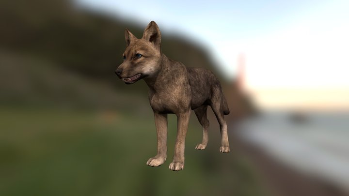 Wolfpup 3D models - Sketchfab
