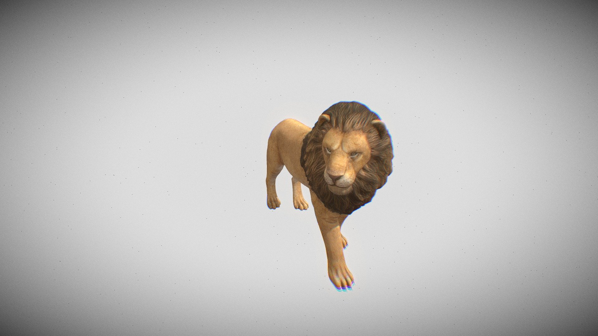 Singa Hutan Bukan Singa Laut - 3D model by neffi123 [ae11d13] - Sketchfab