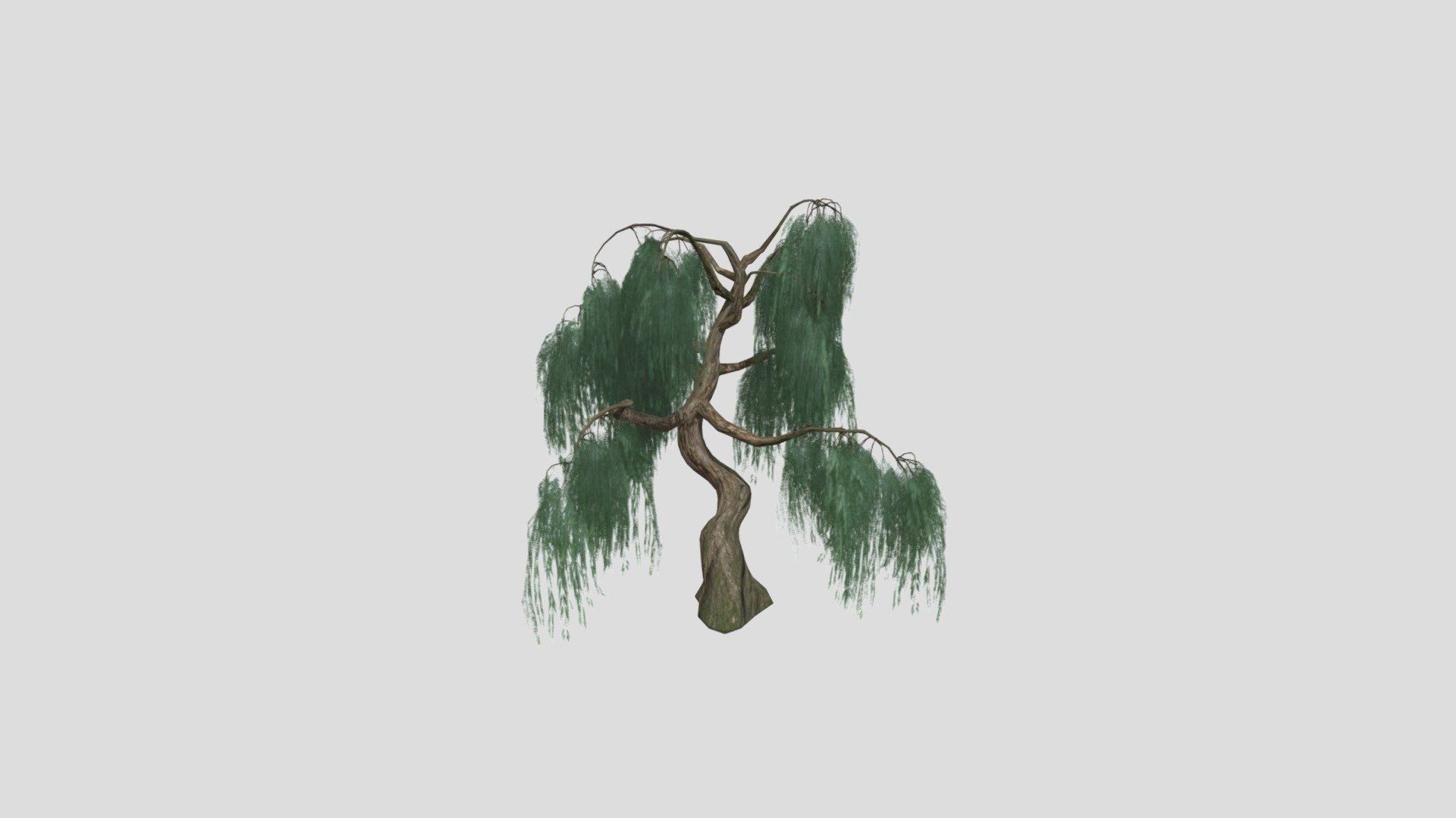 Willow Tree - 3D model by abradford [ae14db4] - Sketchfab