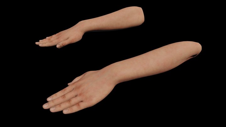 Fingers 3D models - Sketchfab