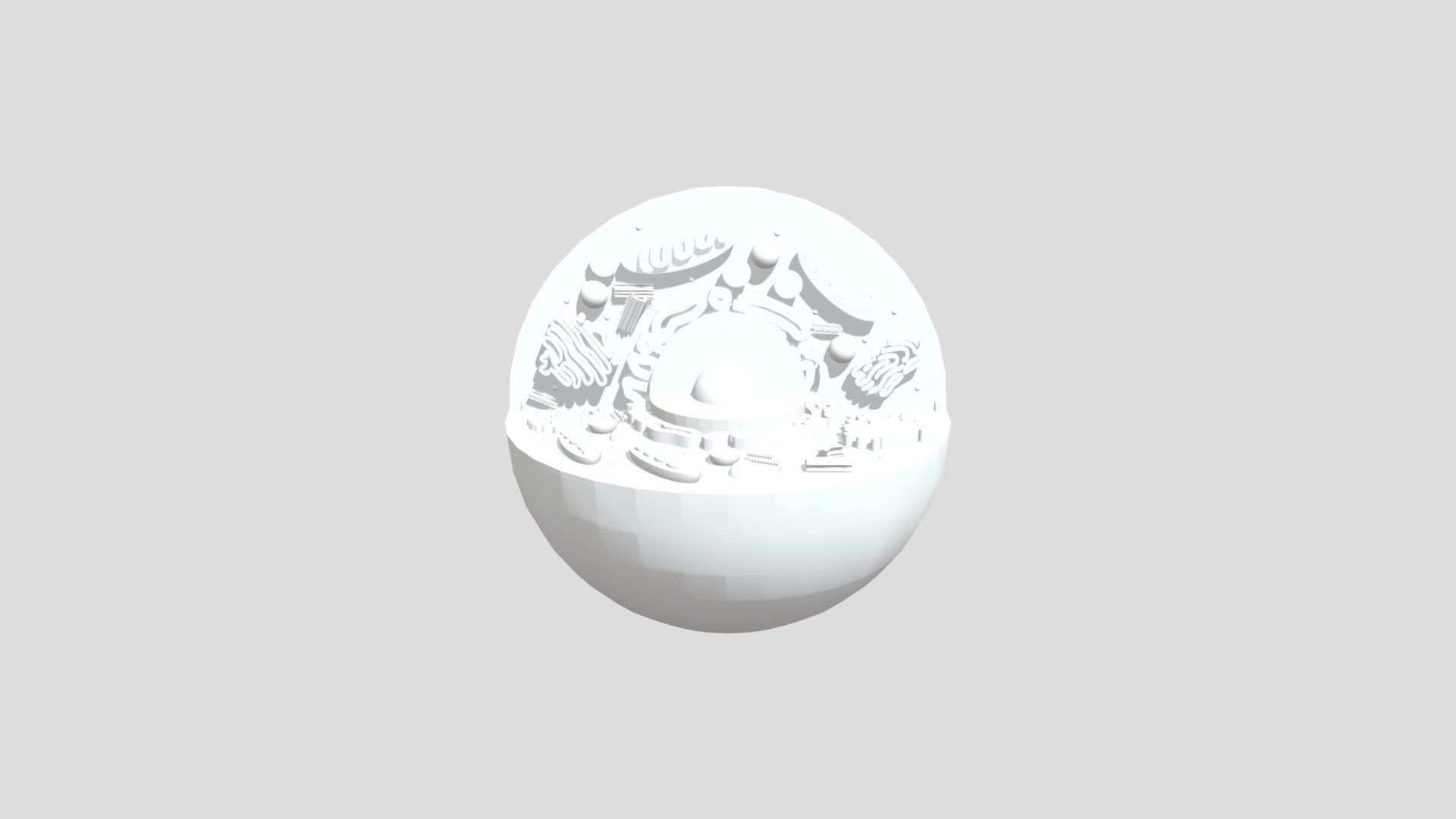 Célula Animal Model A4 - Download Free 3D model by gustavo.goncalves.a ...