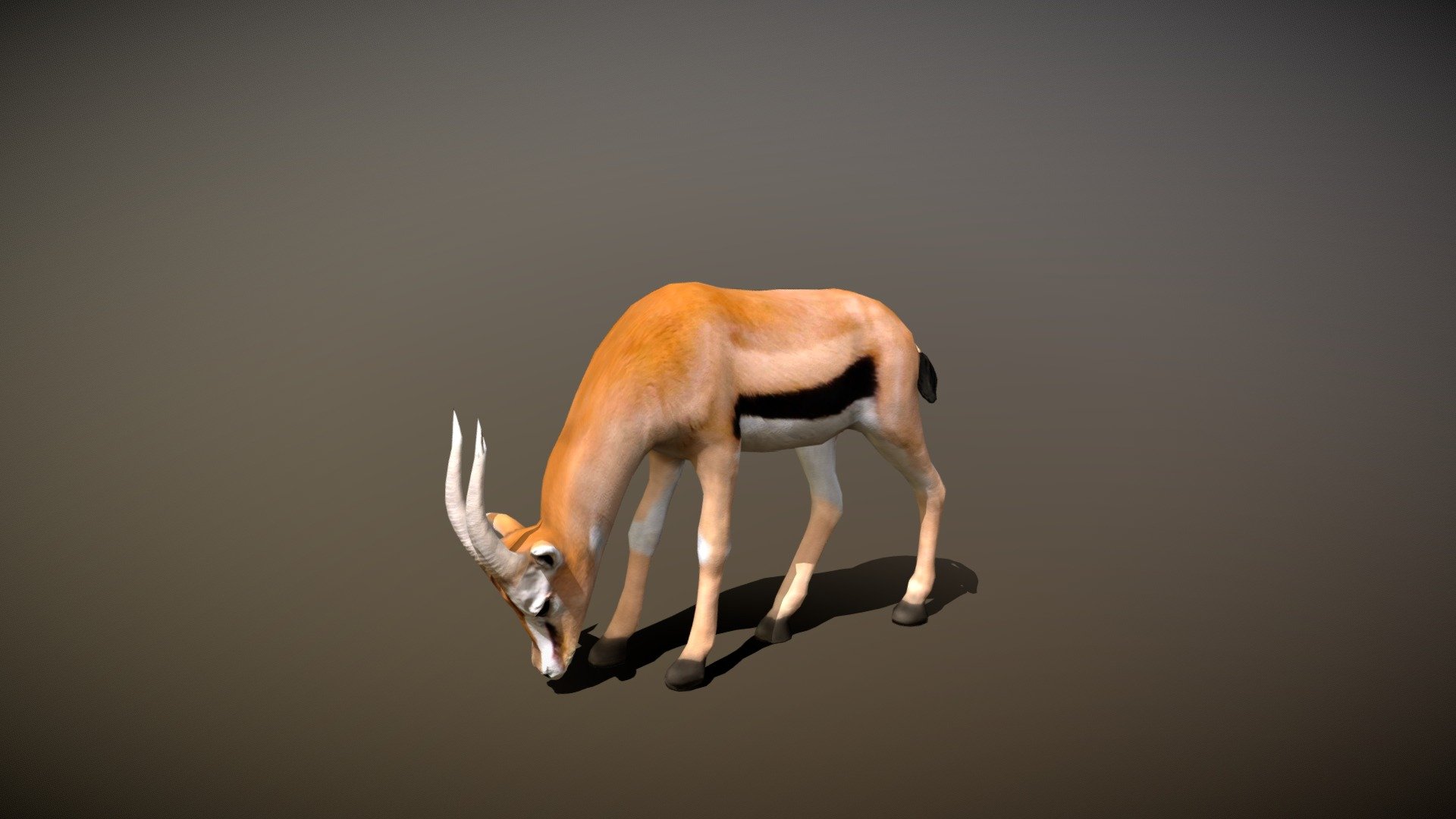 Gazelle Deer with Animation - Buy Royalty Free 3D model by Bilal Creation Production ...