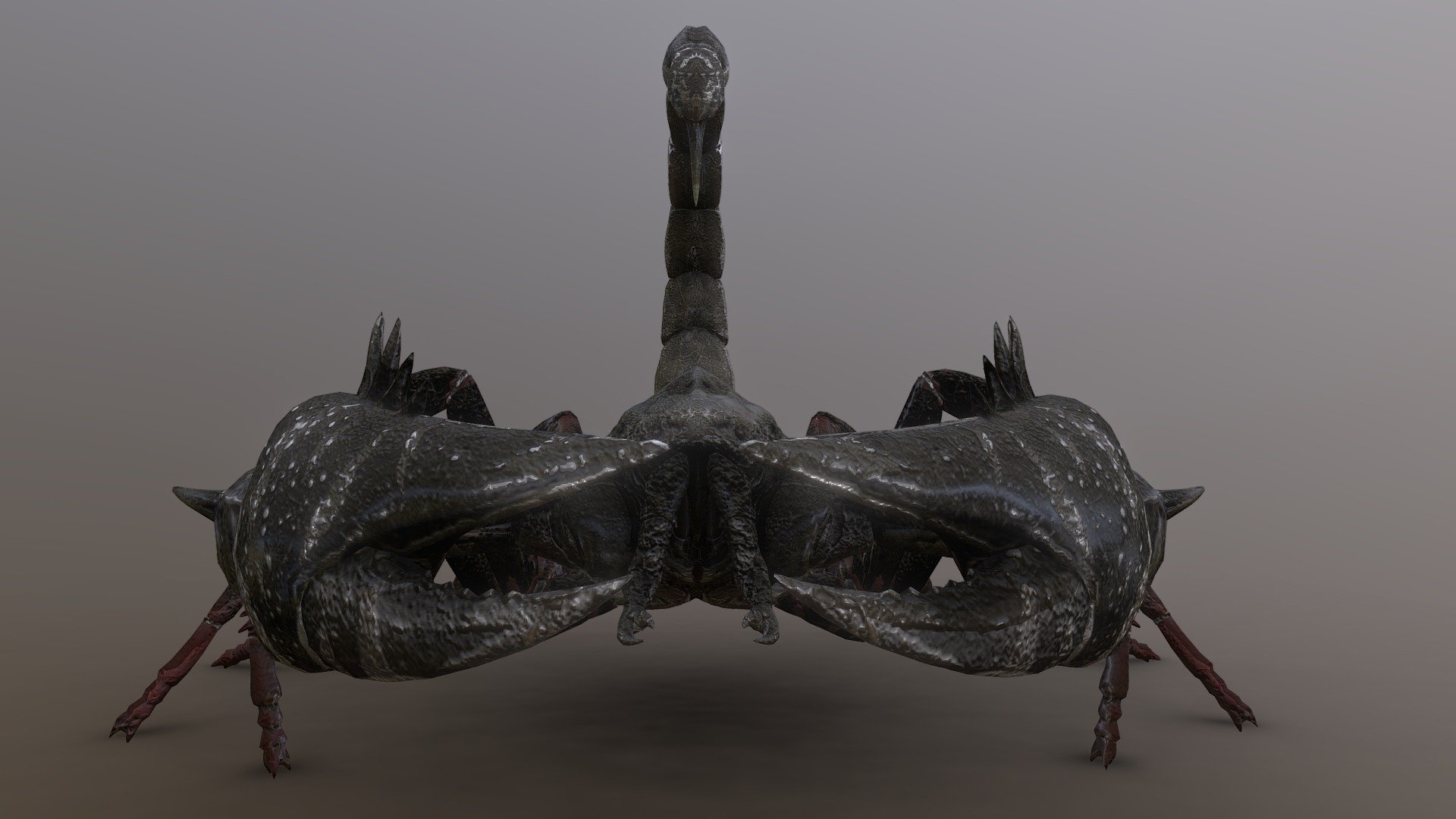Pulmonoscorpius - Download Free 3D model by SpiderBight [ArachnoBoy ...