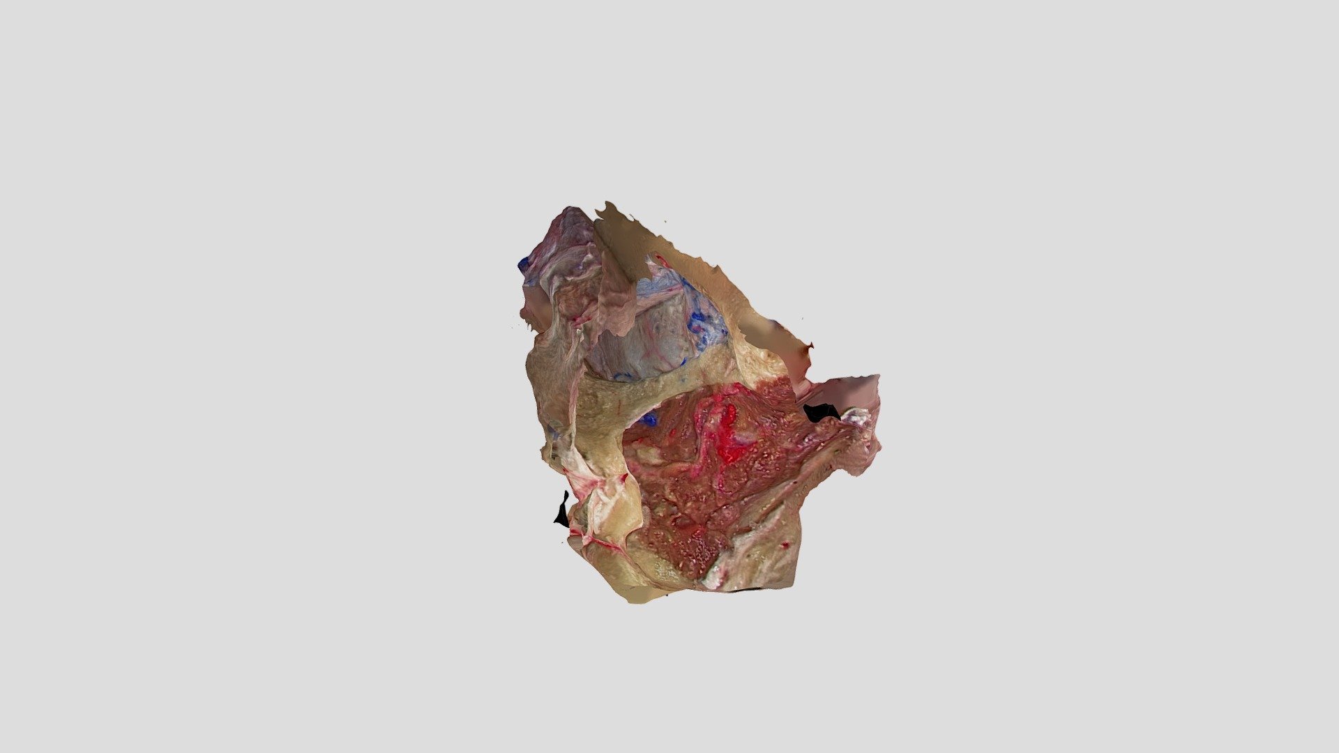 model 6 - 3D model by vv (@verav) [ae3ab17] - Sketchfab