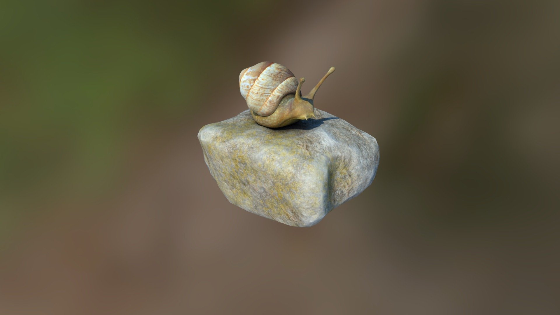 Caracol - Buy Royalty Free 3D model by Design3Dme [ae41a48] - Sketchfab ...