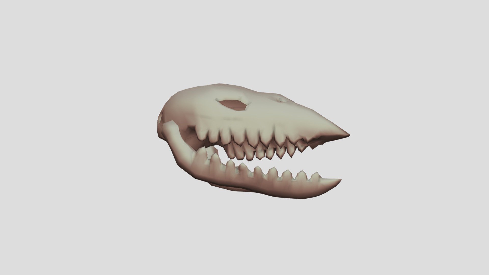 Beak-thing Skull - 3D model by TrMiX (@toldiadam962) [ae45d63] - Sketchfab