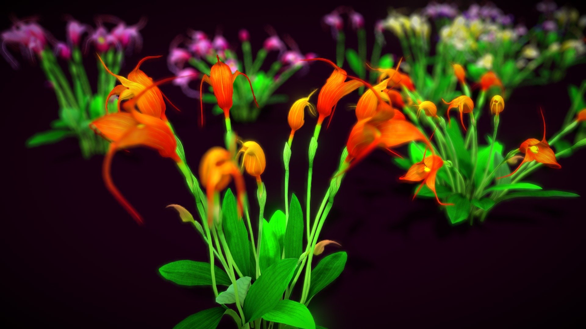 Flower Masdevallia Limax - Buy Royalty Free 3D model by vustudios ...