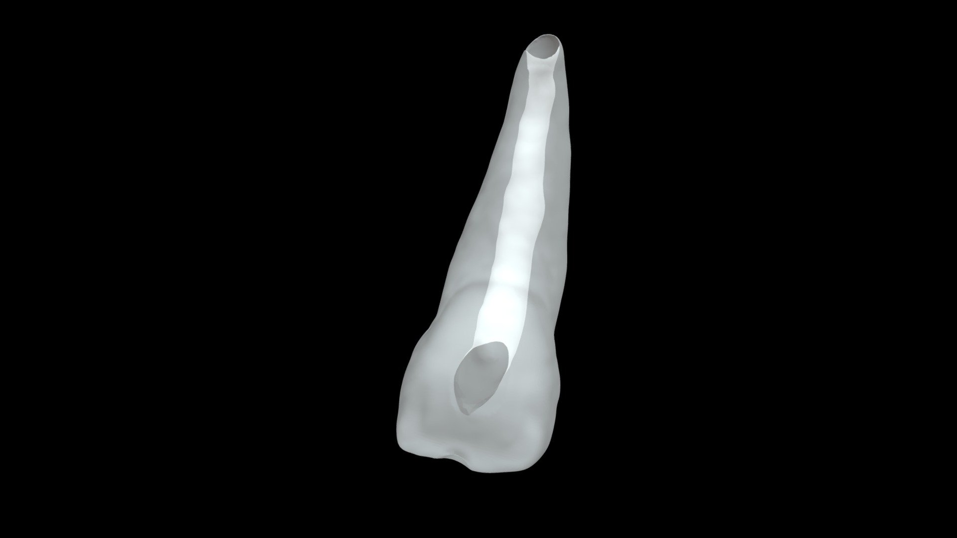 open apex 1_4 - 3D model by biomed3d [ae46ce1] - Sketchfab