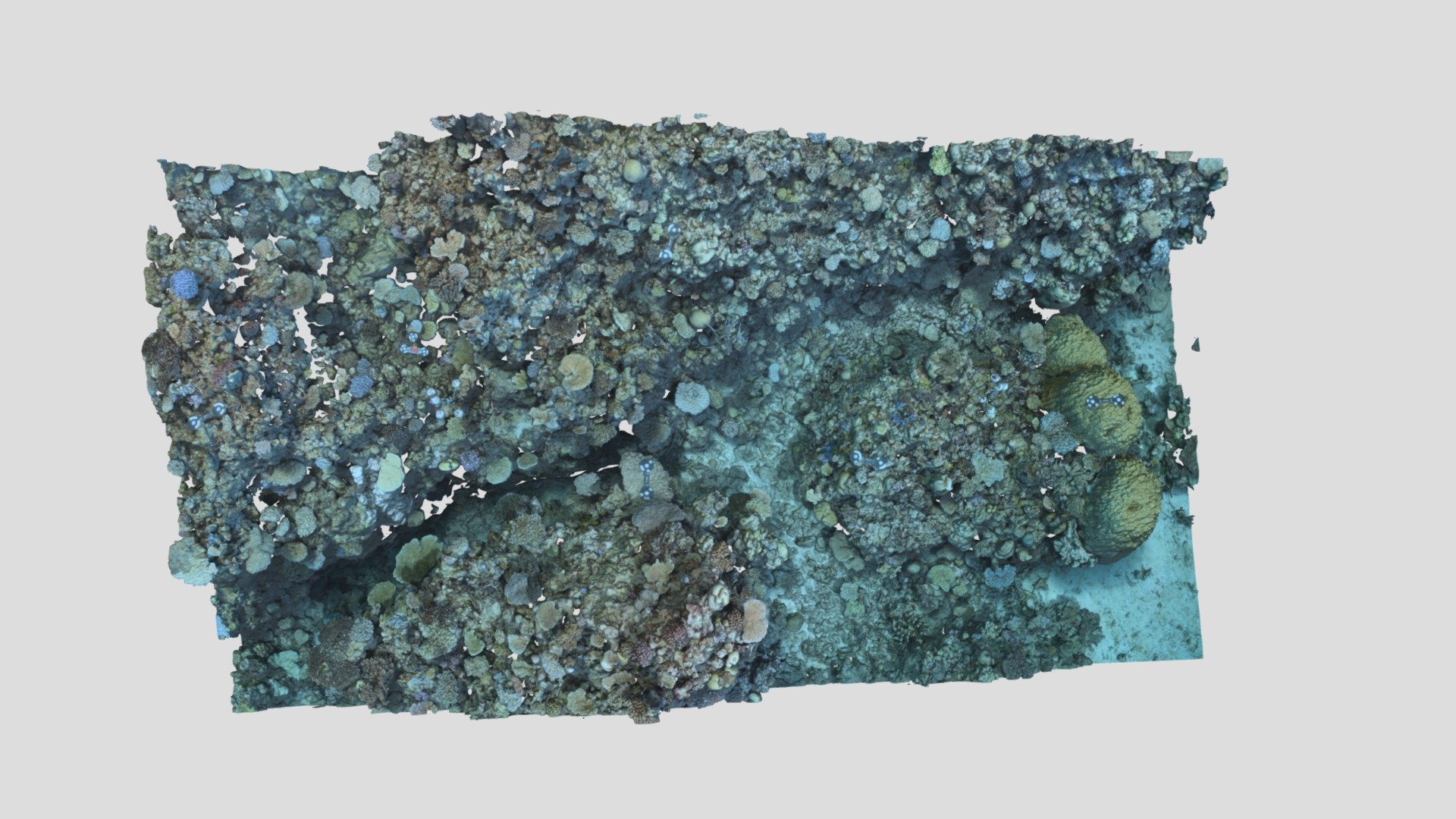 Davies_FR1S_P1_202201 - 3D model by EcoRRAP (@AIMSEcoRRAP) [ae492ac ...