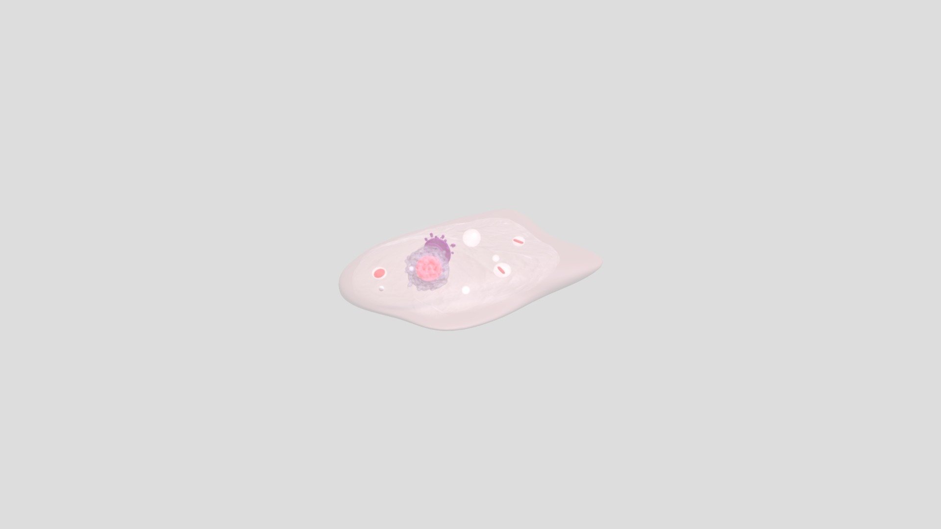 amoeba - 3D model by msmu [ae4a591] - Sketchfab