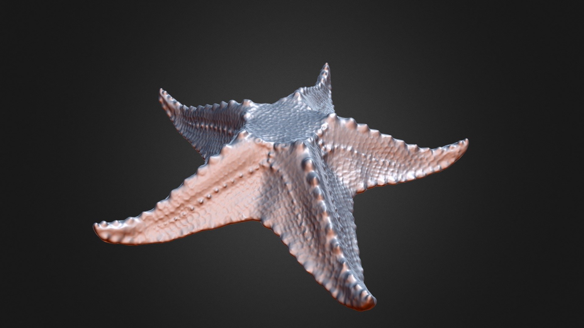 starfish_fbx(nopodium) - 3D model by oilao [ae56583] - Sketchfab