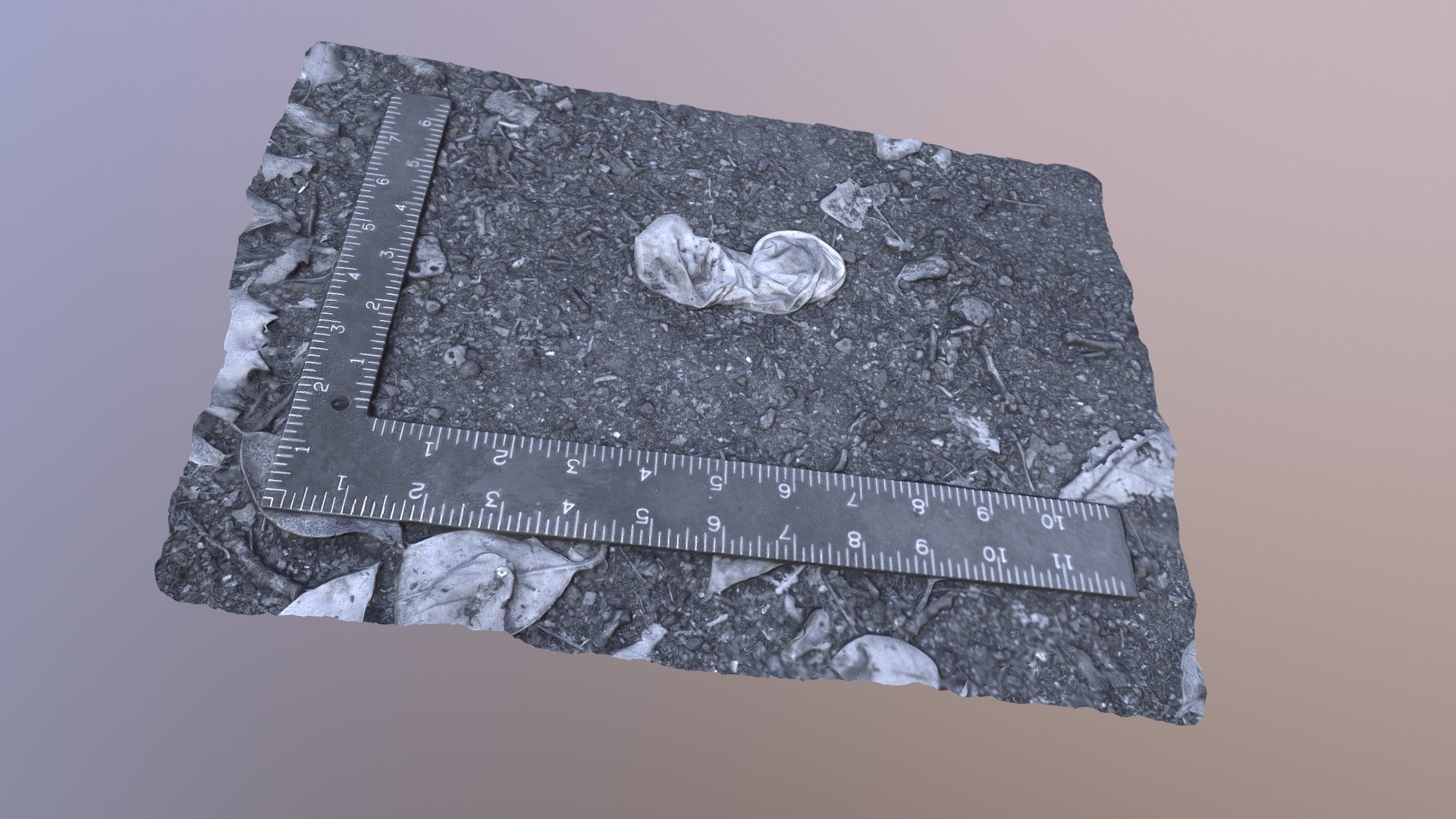 F11-FBX scan - 3D model by kirkbear [ae5ddf9] - Sketchfab