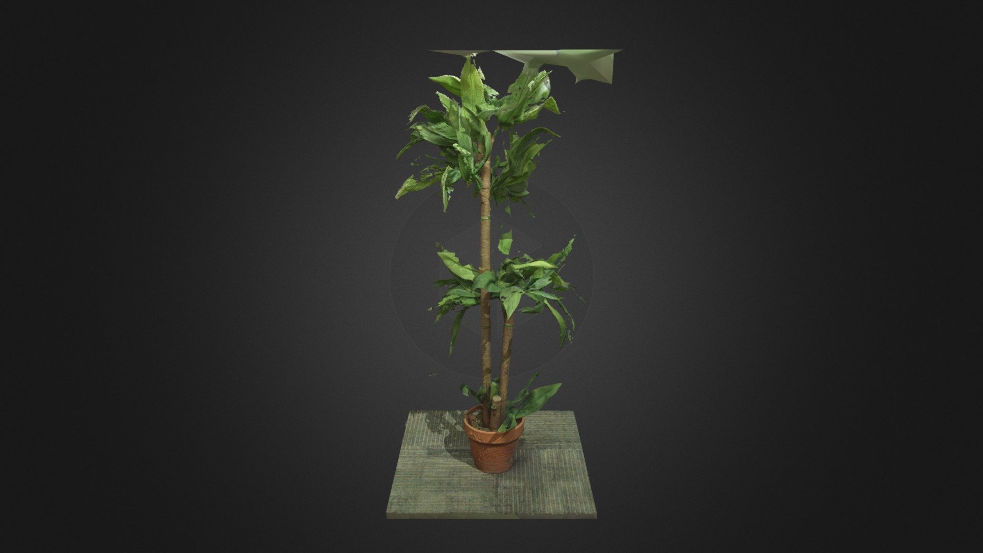 Fake Plant - Download Free 3D model by ryanador1234 [ae61592] - Sketchfab