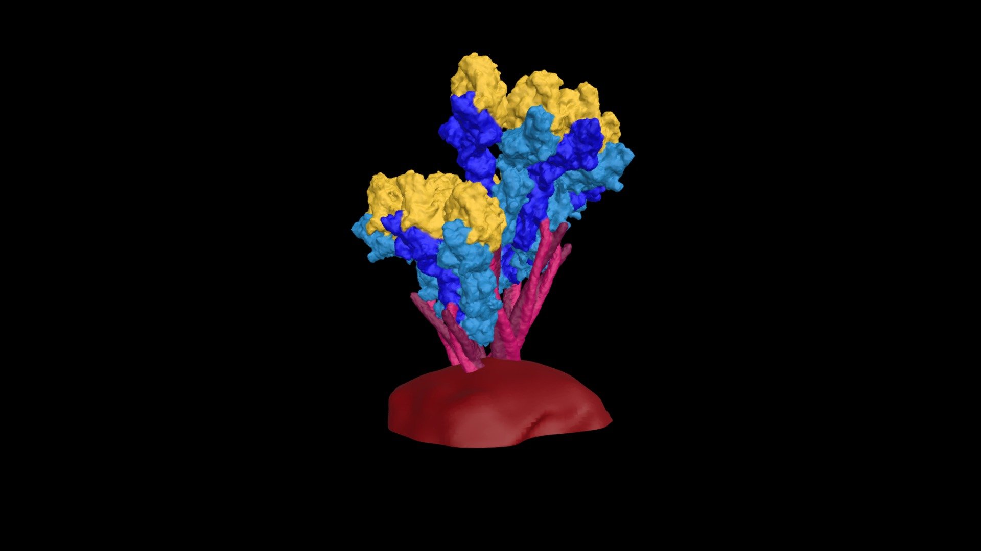 Protein complex - Bioassembly on base - 3D model by Media Studio 3D ...