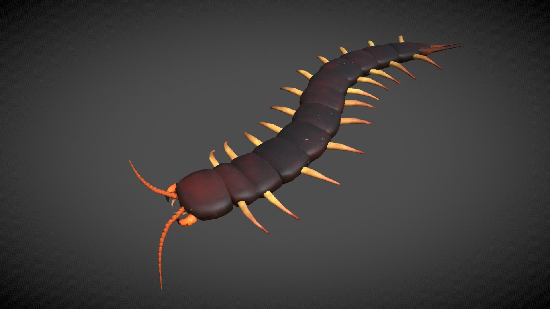 Centipede Worm Animations - Buy Royalty Free 3D model by SR Studios ...