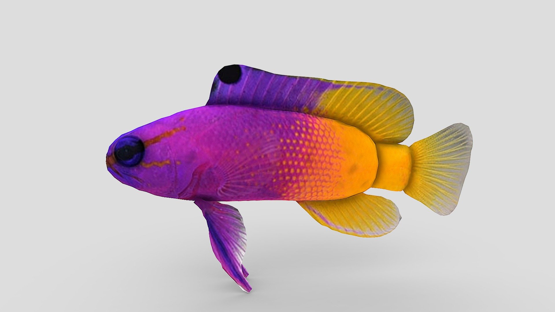 seafish - Download Free 3D model by irvinlin [ae71e22] - Sketchfab